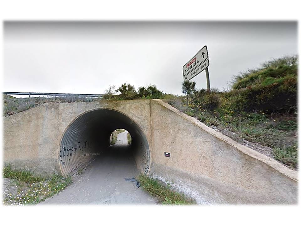 The Story of the People’s Tree ~Moorish Detour~ – ReCORNectioN